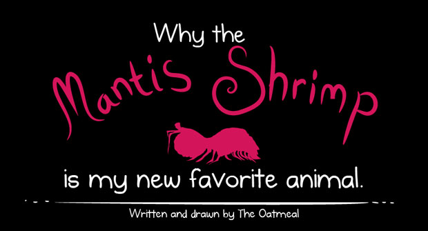 The Oatmeal turns Mantis Shrimp into comic book superhero | Reef ...