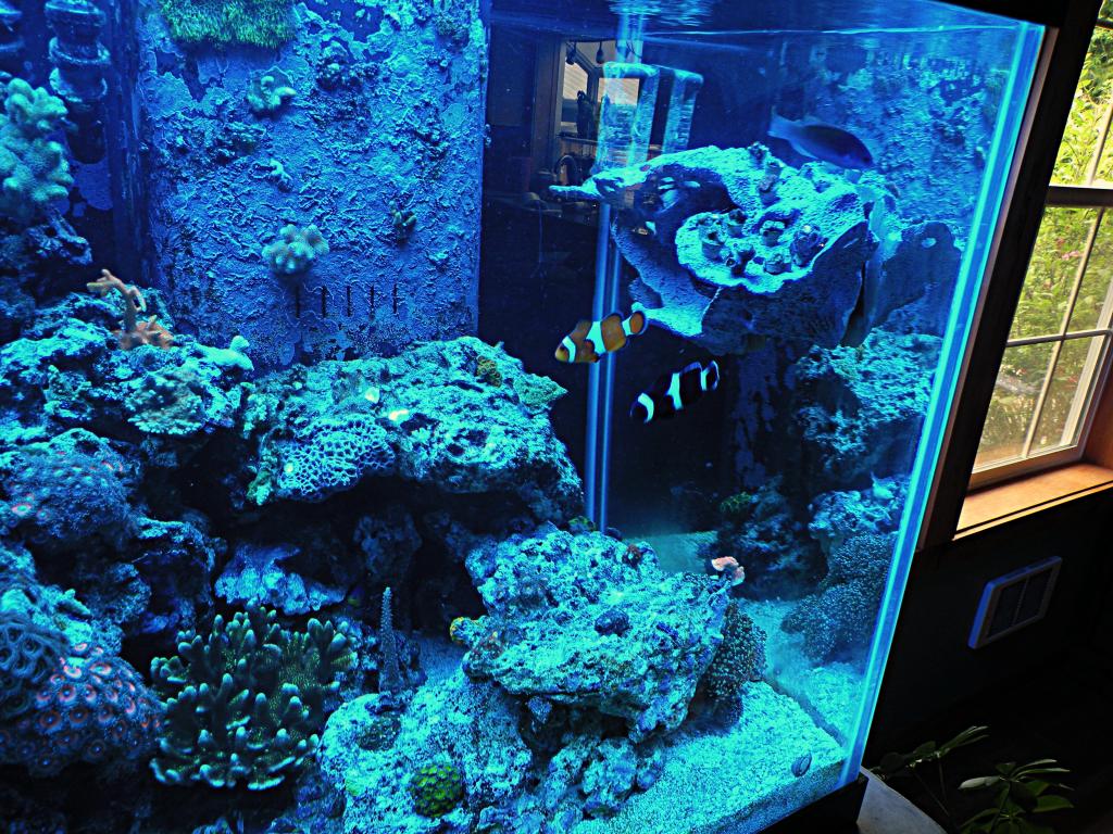 The Alternative Reef Powerstation is the perfect way to hide your ...