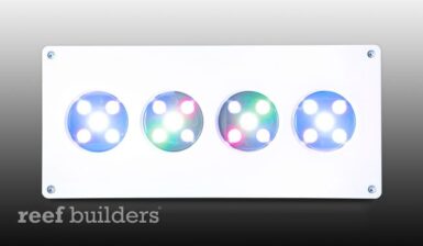AI Hydra LED coming in hot at 95 watts & $399 | Reef Builders | The ...