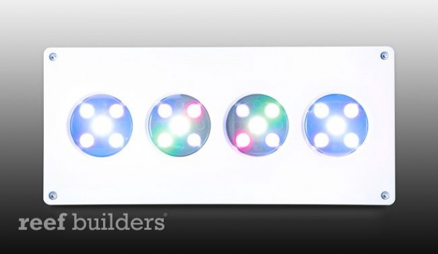 AI Hydra LED coming in hot at 95 watts & $399 | Reef Builders | The ...