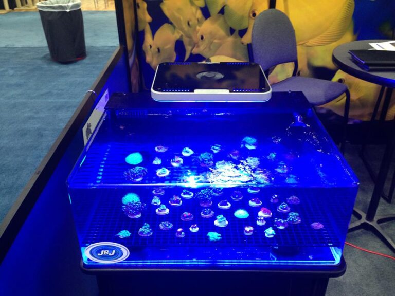 JBJ AIO Frag Tank coming soon | Reef Builders | The Reef and Saltwater ...