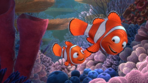 The real, twisted story behind finding Nemo | Reef Builders | The Reef ...