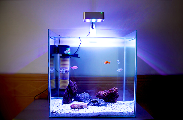 MicMol Aqua Mini LED light uses neat reflectors and modern styling ...