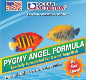 Pygmy Angel Formula is loaded with juicy sponge and algae | Reef ...