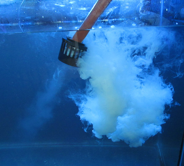 Zeovit Coral Snow is awesome but it’s not what you think | Reef ...