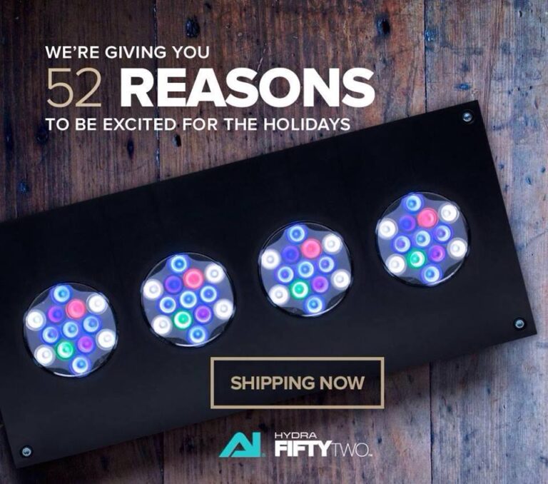 AI Hydra 52 to make its Asian debut in Reef Depot’s open house launch ...