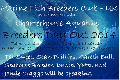 2013 Marine Breeder’s Year in Review part 2 | Reef Builders | The Reef ...