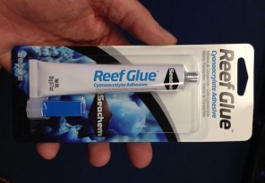 Seachem Reef Glue | Reef Builders | The Reef and Saltwater Aquarium Blog