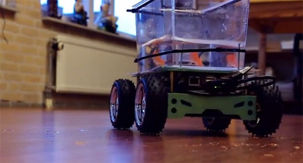 Fish on Wheels gives our aquatic friends terrestrial freedom | Reef ...