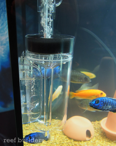 Egg Rocker from Cobalt Aquatics addresses a really niche application ...