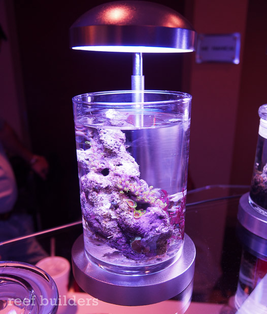 PJ Reefs is pushing the boundaries of miniature reef ‘aquariums’ | Reef ...