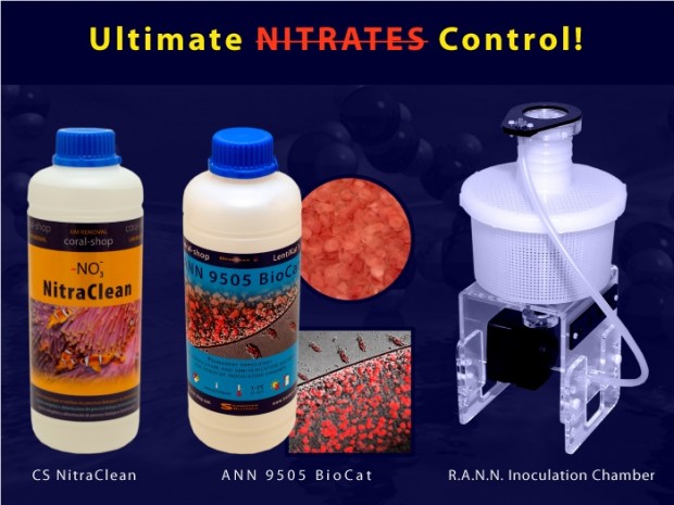 Coral-Shop RANN nitrate reducing inoculation chamber | Reef Builders ...