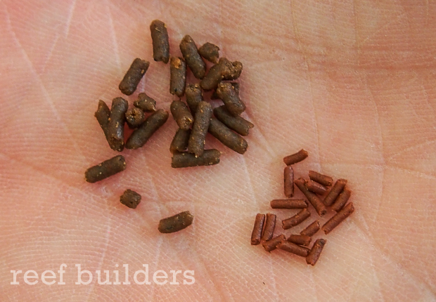 Small size pellet coming soon to New Era Aquaculture line of fish foods ...