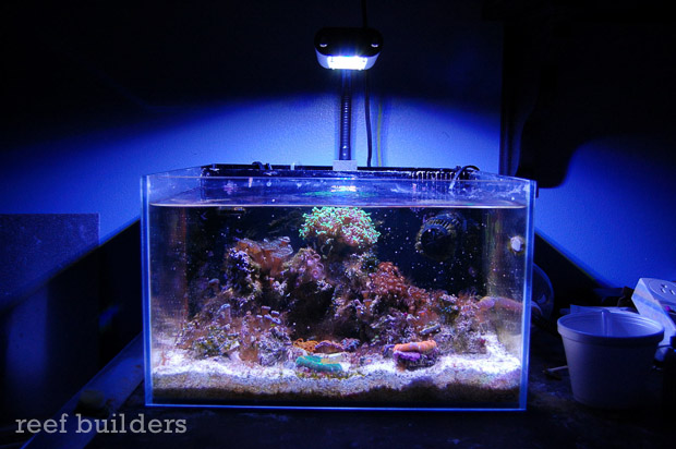 Hands on & review of the Nano Box Reef Mini Tide LED light | Reef ...