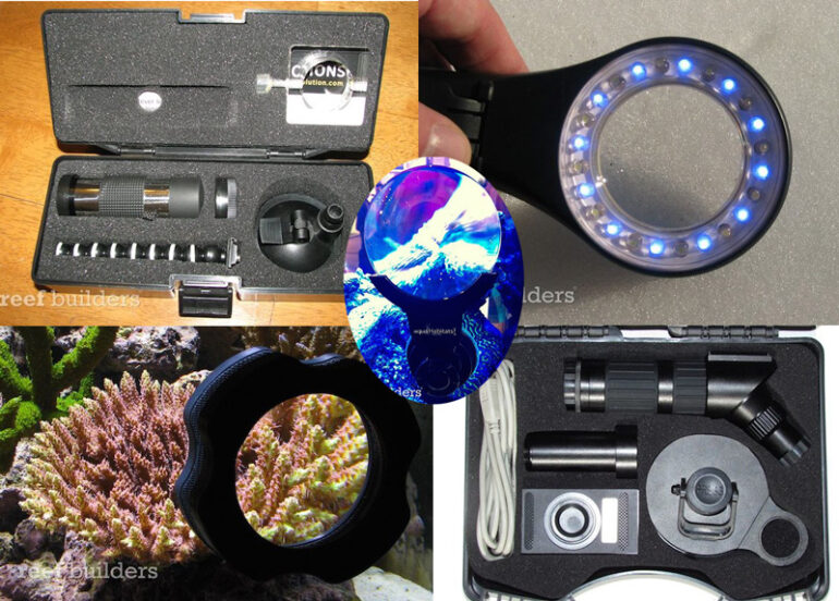 Top 5 magnified viewing accessories for seeing more of your aquarium ...