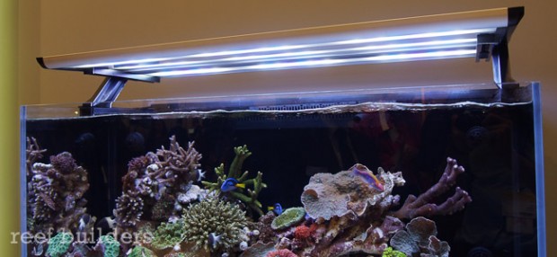 Red Sea MAX E Series tanks come with LEDs, controller, rimless open top ...