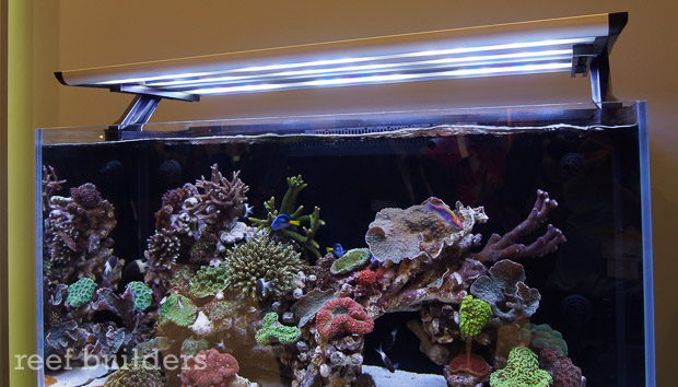 Red Sea MAX E Series tanks come with LEDs, controller, rimless open top ...