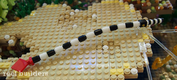 Tropical Marine Centre Lego ReefScape will become a limited edition set ...