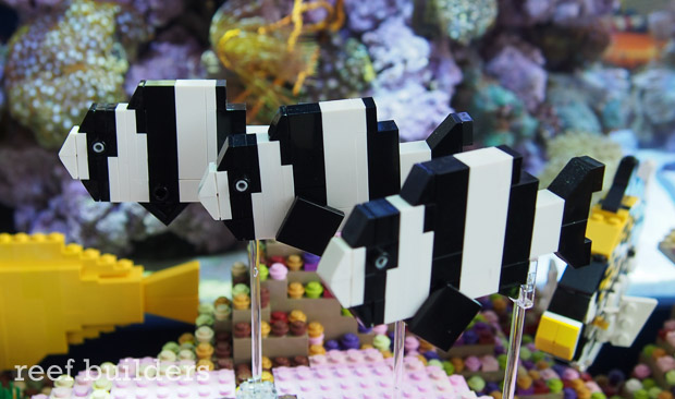 Tropical Marine Centre Lego ReefScape will become a limited edition set ...