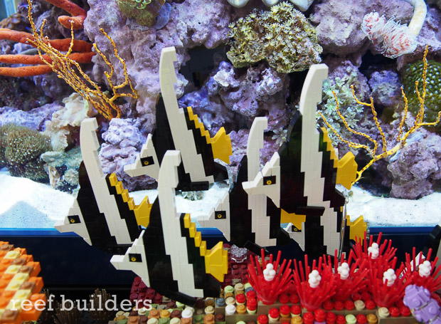 Tropical Marine Centre Lego ReefScape will become a limited edition set ...