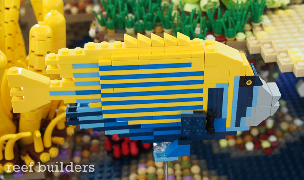 Tropical Marine Centre Lego ReefScape will become a limited edition set ...