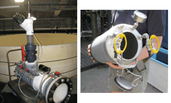 CAS finding success with hyperbaric chamber to decompress fish | Reef ...