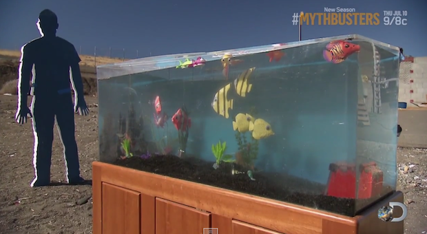 Mythbusters blows up an aquarium “for science” | Reef Builders | The ...