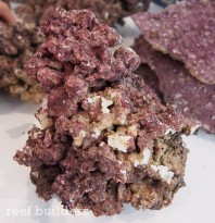 The Best Dry Rock For Aquascaping Saltwater Aquariums - Reef Builders ...