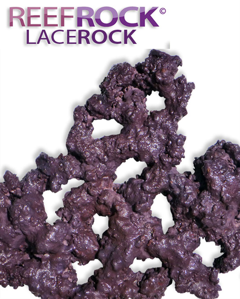 Walt Smith doubles down on sustainability with ReefRock and ...