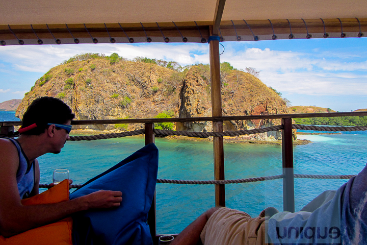 Unique Corals’ Joe Caparatta shares his experiences on the Fluval Sea ...