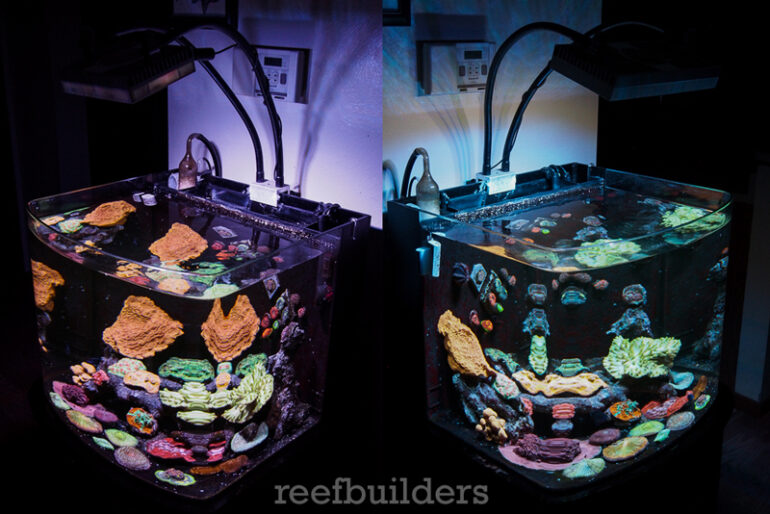 Hydra 26 review and comparison with Vega LED | Reef Builders | The Reef ...