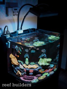 Hydra 26 review and comparison with Vega LED | Reef Builders | The Reef ...
