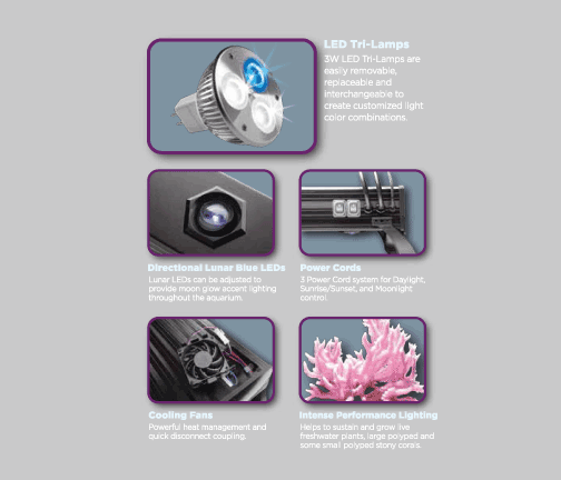 More details on the Coralife Aqualight LED and interchangable Tri-Lamp ...