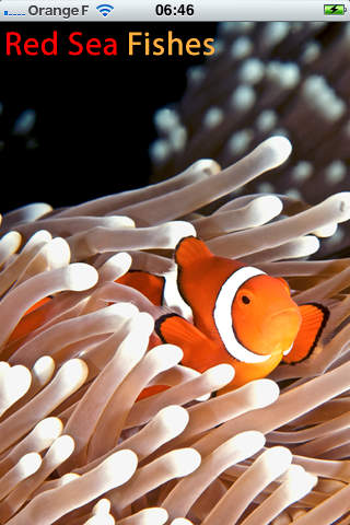 6 great iPhone applications for identifying and learning about reef ...