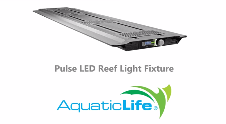 New Aquatic Life Pulse LED gets video treatment | Reef Builders | The ...