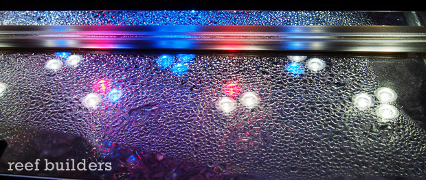 Coralife LED Aqualight is a great choice for the mid-range of LED ...