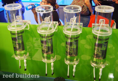 Italian reefers are really into phytoplankton reactors | Reef Builders ...