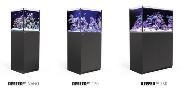 Red Sea REEFER tanks get pricing and early 2015 delivery date | Reef ...