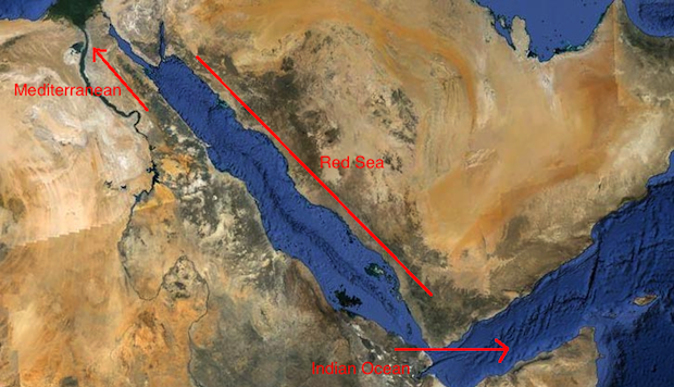 Geminate sisters and their path to speciation | Reef Builders | The ...