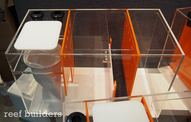 Zero Edge introduces clownfish-themed Series 7 sumps | Reef Builders ...
