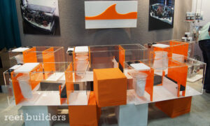 Zero Edge introduces clownfish-themed Series 7 sumps | Reef Builders ...