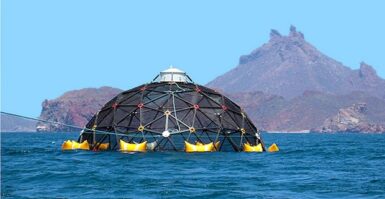 Aquapods are already leading the charge in offshore fish farming | Reef ...