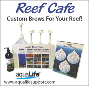 AquaLife Reef Cafe is like Starbucks for your coral | Reef Builders ...