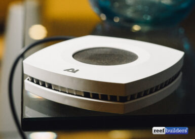 the AI Prime LED looks incredible on its own, and over reef tanks ...