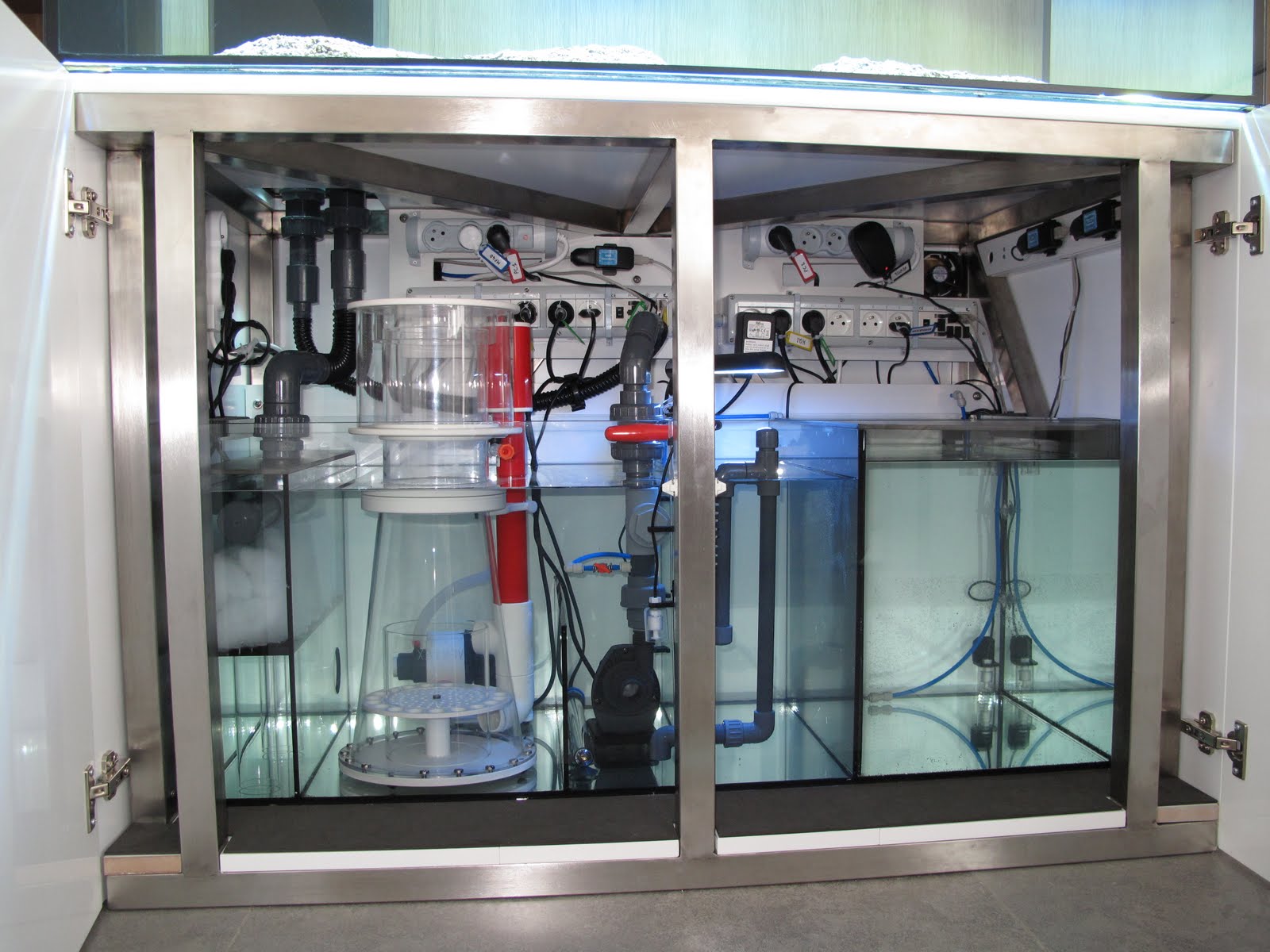 What traits make a great reefer? | Reef Builders | The Reef and ...