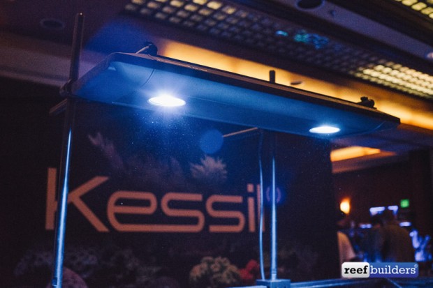 Kessil AP700 LED fixture can’t come out soon enough | Reef Builders ...