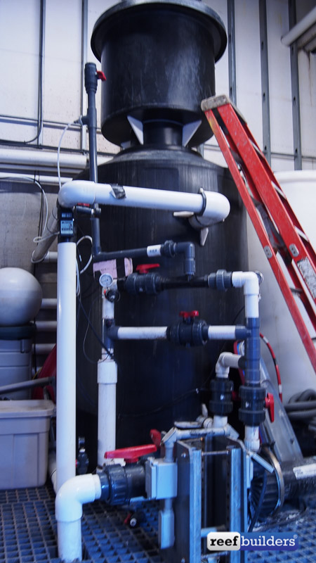 The 20,000 gallon reef tank relies on a diversity of filtration ...