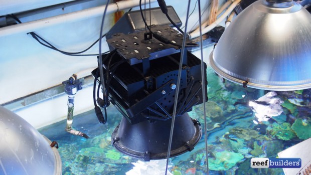 How do you light a 20,000 gallon reef tank? | Reef Builders | The Reef ...