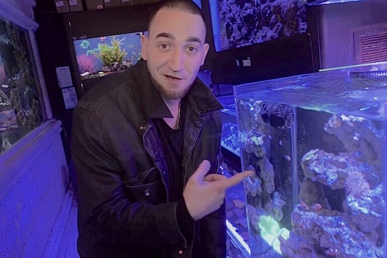 Reef Tanks Addiction music video is a celebration of Reef Aquarium ...