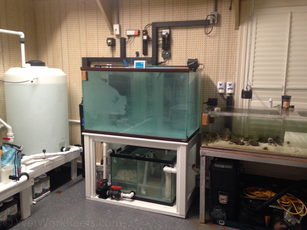 The super high end tank build of Reef 924, part 1 | Reef Builders | The ...